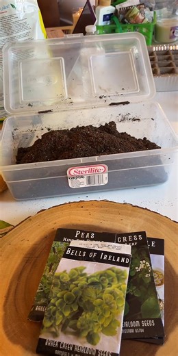 EASY SOIL MIXTURE FOR SEEDLINGS! ITS TIME TO START YOUR INDOOR FROST HARDY GARDEN PLANTS! JOIN US LIVE & PLANT ALONG! STL ZONE 7A! #asthegardenturns_stl #seedlingsoilmixture #zone7a #indoorseedstarting #joinuslive