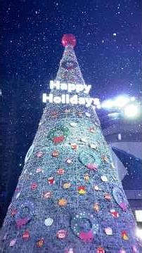 Christmas Tree Light Show with Snow!