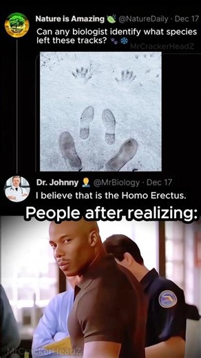 #theamazingdigitalcircus 😱