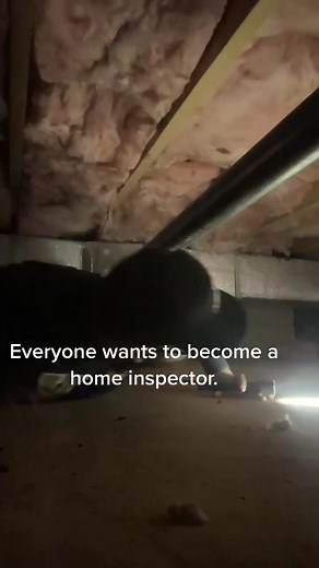 Exploring Crawlspace: Home Inspector's Guide
