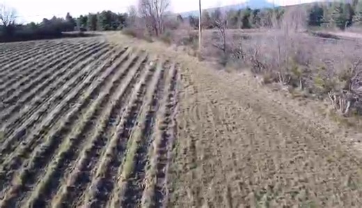 Production de semences et de plantes, de médicinales, de fruits rouges et de transformations diverses avec ces dernières, ainsi qu'à venir un peu de pédagogie autour de ces activités, je n'ai pas le temps de m'ennuyer. Le tout en manuel le plus naturellement possible, je ne compte pas mes heures mais je ne suis pas rémunérée à la hauteur de mes efforts, ainsi qu'au bien que je souhaite apporter au monde en développement des activités qui sont saines et indispensables, à notre époque plus que jam