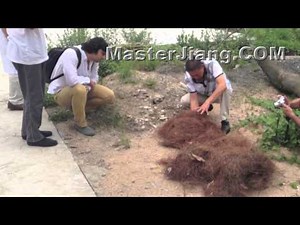 Master Jiang -- With Contact Pyrokinesis Demo -- August 2013