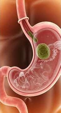 What Happens Inside Your Body When You Eat a Olive