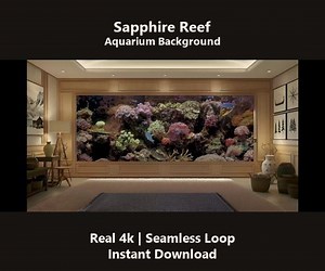 Sapphire Reef Aquarium Background Video — 4K Loop for Presentations, Studio Sets & Creative Projects - Etsy