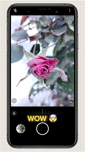 Photography with android phone 🤯 | #dkpicturs #shortsfeed #shorts #tranding