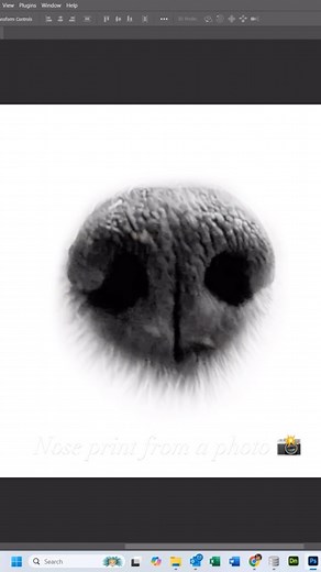 Here’s a quick look at an order we made earlier. We only had a dark, face-on photograph of the nose to work with, but we were able to take a nice and accurate print ❤️ This print is now ready to be vectorized and engraved with no loss of detail ❤️ #wildhoneybeeuk #petmemorial #petkeepsake #noseprint #dogmemorial #doglover #engravedgifts #petloss #petportrait #petart #doggylove #doggyheaven #photoshopedit #smallbusinessuk #engravedjewellery #memorialjewellery #bespokepetportrait #petjewellery | W