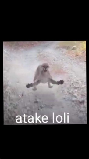 Atake Loli Meme Explained: Origins, Meaning, and Popularity