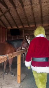 13K views · 246 reactions | Your favorite grumpy green man hit the...