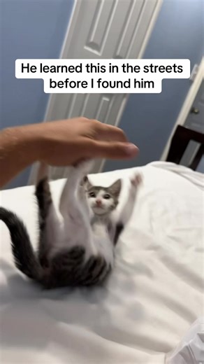 From Rags to Riches: A Life Transformation Story