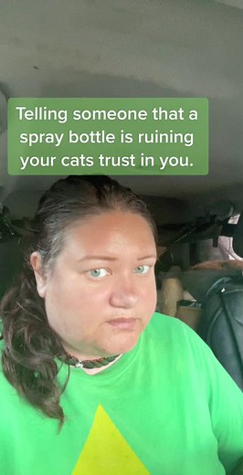 Cat Training Troubles: Dealing with a Stubborn Feline Filter