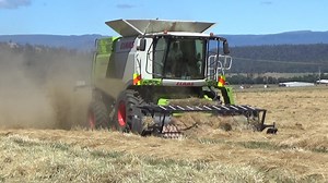 11K views · 427 reactions | Nick Eyles of Hillcrest Harvesting combining a ryegrass seed crop on a farm near Deloraine, in Northern Tasmania this afternoon (15th February 2024) with a Claas Lexion 670 combine fitted with a pickup front. As always great to catch up with Nick for a chat and to see this impressive machine at work ;) | Craig's Farming Photos & Videos | Facebook