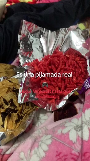 Pijamada Real: Jugando Minecraft hasta que amanezca