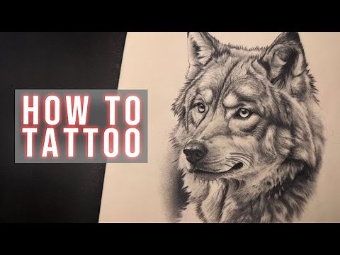 Tattoo Tutorial - How to Tattoo for Beginners - Wolf 🐺