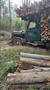 Overloaded Log Truck Stuck in Forest Mud | Extreme Timber Transport