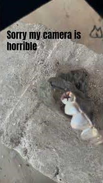 I used a hand held small butane torch to fuse the sterling silver together small crack#goldjewelry