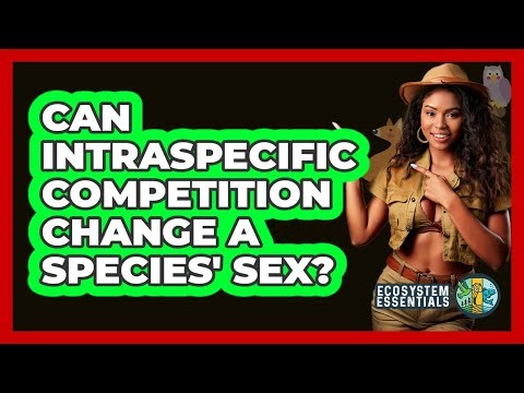 Can Intraspecific Competition Change A Species' Sex? - Ecosystem Essentials