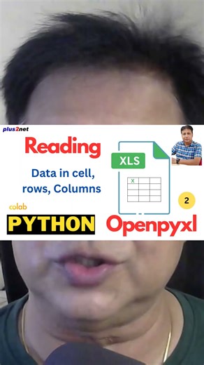 Style and formating of Excel page by using OpenPyXL in Colab platform