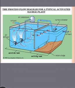 The image shows the process flow diagram for a typical activate... | Filo