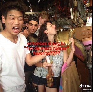 Exploring the World of Maze Runner: Newt and the Glade