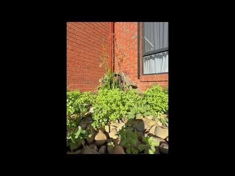 Sleep & Wonder 🌙✨ Powerful Waterfall Sounds for Sleeping | 3 Hours 25 Minutes | Relax & Drift Off