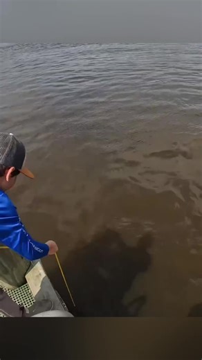 🔥 You’ve NEVER seen crabbing like this before! Watch till the end — the catch will blow your mind! 🦀 #crabbinglife #bluecrabs #catchandcook #fishingadventure #seafoodlover