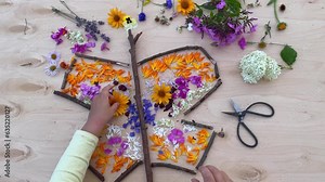 butterfly made from flowers, easy nature craft for kids. From the petals we lay out a pattern on the wings