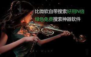 两款绿色免费又好用的搜索小软件