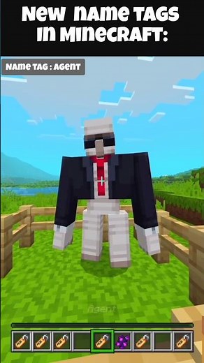 🎉 New Name Tags Added in Minecraft! 🏷️ Check Them Out!