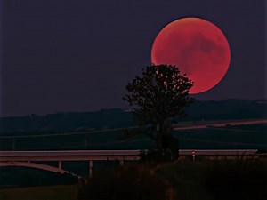 musicamp.id on TikTok