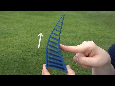 Bionics - Was können wir vom Fisch lernen?