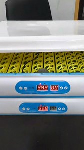 11K views · 161 reactions | Fox 2 on Reels | Facebook