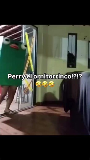 #copyramdon #perryelornitorrinco #fvp