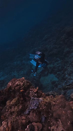 🧜‍♀️ Jing 🤿 Boo-Yah Freediving 🌴 Fins & Tonic 🎨 Christian Cee Learn Freediving with Boo-Yah Freediving!🧜‍♀️🧜🤿🐟 Send DM for inquiries. Sea you soon.🌊🌊🌊 Please don't forget to like,follow and share the page. Thanks much!☺️ #booyahfreediving #booyahintrotofreediving #booyahfundive #booyahresidentdiver #booyahSeatizen #batangbooyah #booyahbabies #freedivelife #freedive #freediver #freedivinginbatangas #philippinesfreediving #freediving #ganitokamesabooyah | Boo-Yah Freediving