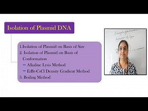 Plasmid DNA Isolation Methods:Alkaline lysis, EtBr-CsCl density gradient, Isolation on basis of Size
