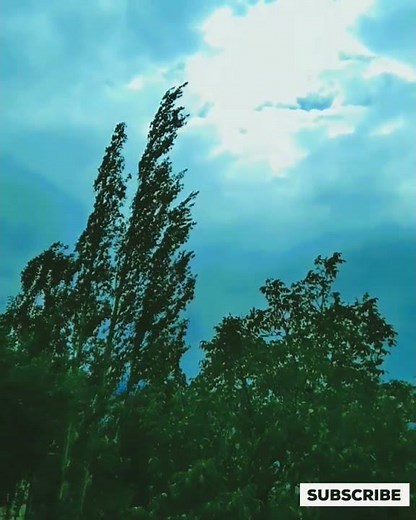 strong wind blowing through trees l strong wind blowing sound effect (mind relexing sound)#subscribe