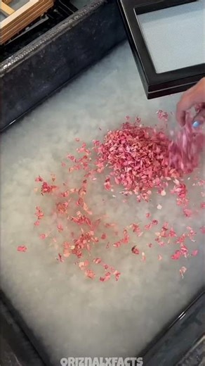 the method of paper recycling