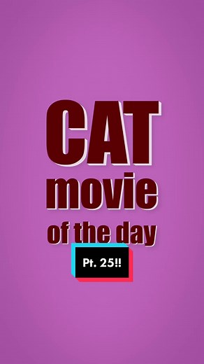 Top Cat Movies for Feline Lovers