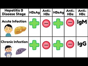 Diagnosis of Hepatitis B | Hepatitis B Serology Interpretation