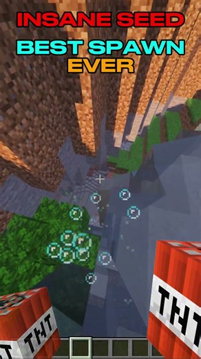 BEST SEED TO START YOU NED WORLD IN MINECRAFT #minecraft #survival #shorts