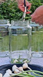 38K views · 357 reactions | Lightly salted cucumbers (Delicious...