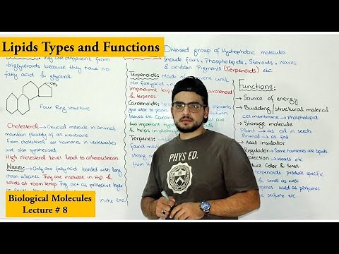 Lipids Structure, types and Functions Part 2