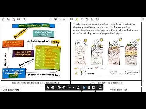20-Formation de l'humus et sa minéralisation