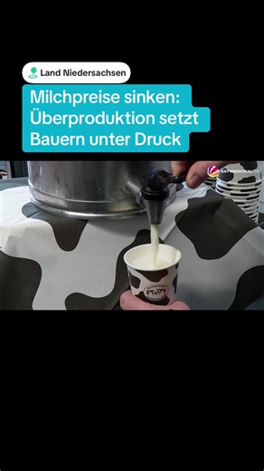 Die gesunkenen Milchpreise bereiten Landwirt:innen in Niedersachsen zunehmend Probleme. Grund dafür ist vor allem eine Überproduktion: Derzeit wird rund sieben Prozent mehr Milch erzeugt, als tatsächlich nachgefragt wird. Damit greift ein grundlegender Marktmechanismus: Übersteigt das Angebot die Nachfrage, geraten die Preise unter Druck. Für viele Betriebe bedeutet das sinkende Einnahmen bei gleichzeitig hohen Kosten. Niedersachsens Landwirtschaftsministerin Miriam Staudte (Grüne) hat sich desh