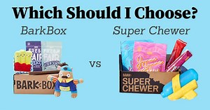 BarkBox vs Super Chewer: Must Read Before Choosing