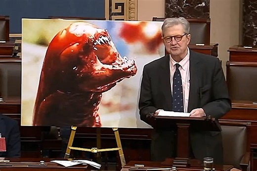 Louisiana senator claims radioactive shrimp could turn you into the “Alien” xenomorph: 'It'll kill ya'
