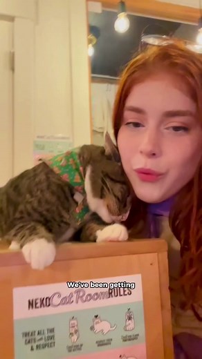 Understanding Parmesan: The Cat's Unique Name Explained