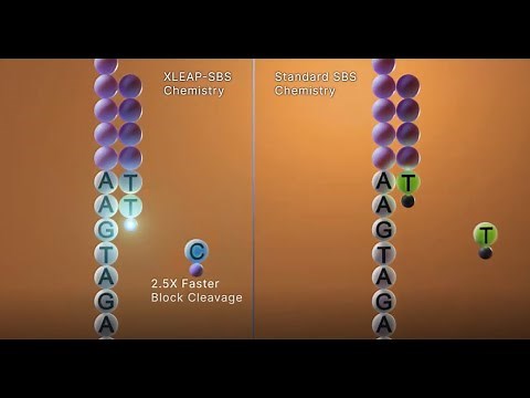XLEAP SBS™ chemistry on NextSeq™ 1000 & 2000