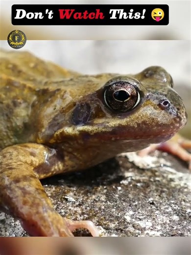 Facts That Are Completely Useless 😂 #shorts