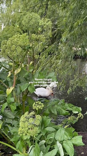 Lotta Emilie Stichler on Instagram: "Let me explain! This doesn’t mean that your problems have no value, you’re still important! But I think whenever we struggle we might tend to forget that people around us are also struggling. Sometimes we get so coughed up in our own head to forget the people around us and how they are feeling. And that’s not egoistic or selfish just human. But if we all would care a bit more about the people around us, we might be feeling less lonely 🫂"