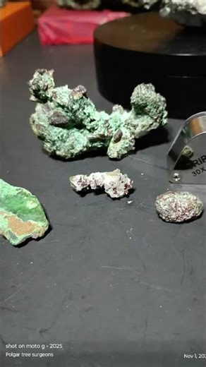 Specimens | Mineralogical & Geological high-end mineral collectors #unitedstates #trend #1million